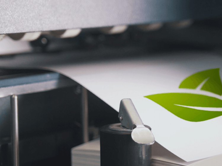 Your Guide to Eco-Friendly Digital Fabric Printing – Equipe Athletics